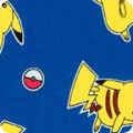 Robert Kaufman Fabrics: Pokémon: Cotton Novelty Print Fabric